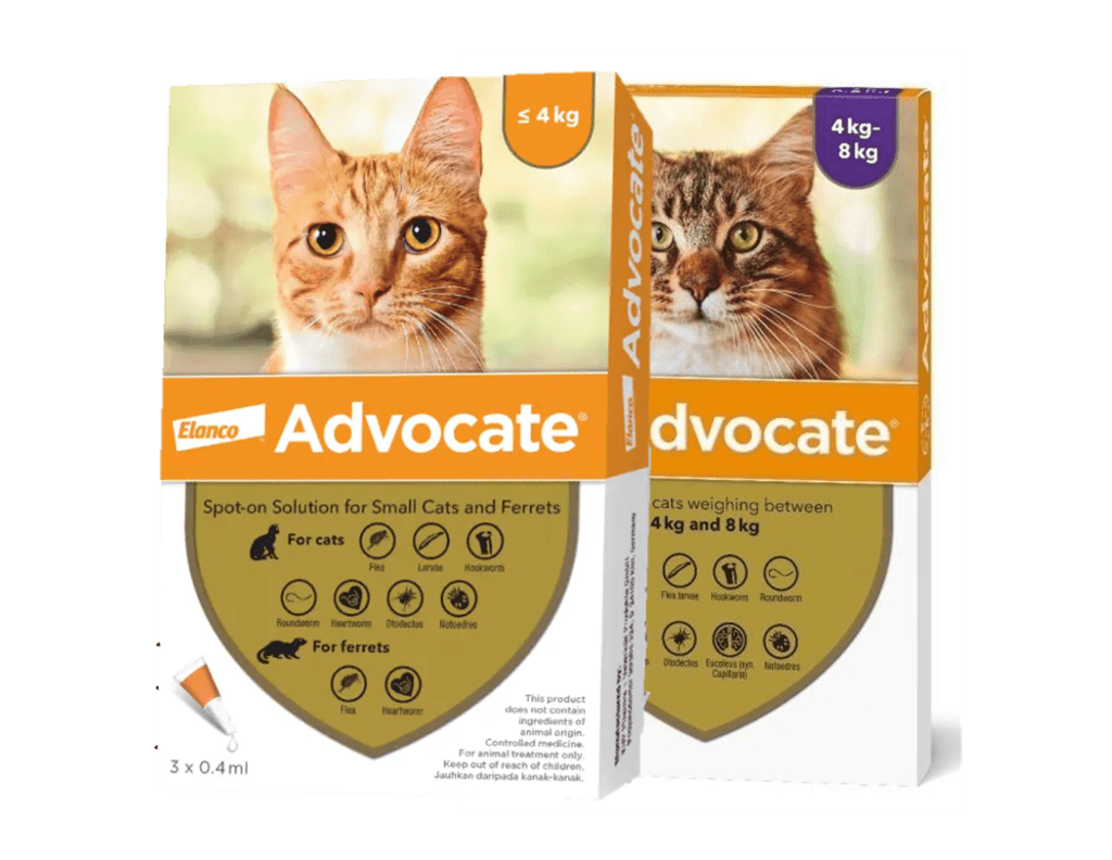 Advocate for Cats - Ralun Pet Resort and Hotel